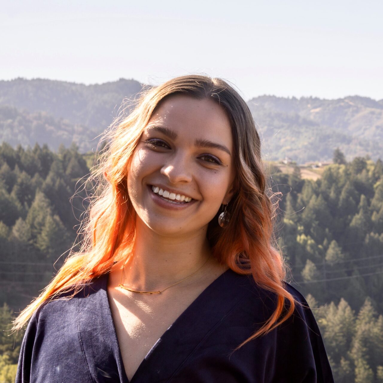 AESP 2024 - Energy Solutions